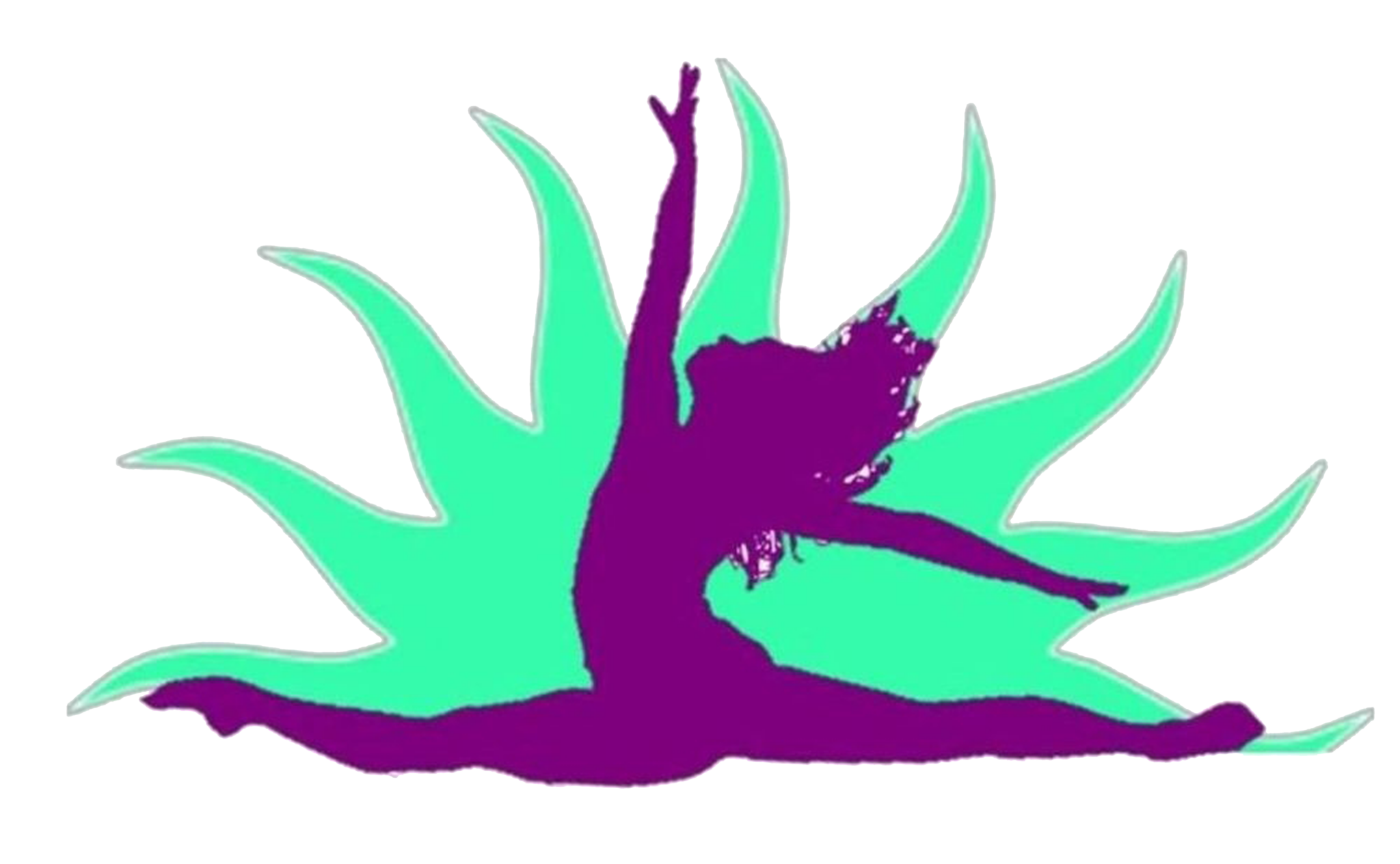 Sunshine Coast Physie & Dance – Sunshine Coast Physie and Dance